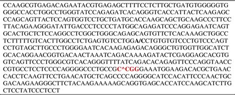 Result Of Endonuclease Restriction With Mspi Using Fastpcr Ac Single Download Scientific