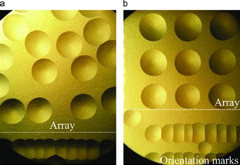 Molds Produced In Silicon A 16 Microlens Optimized Array And B Download Scientific