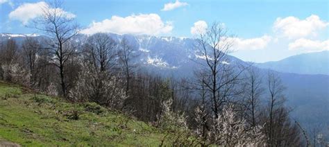 Shadi Hamedi Translator شادی حامدی مترجم «راهنمای خریداران و کاربران تلسکوپ‌ها و دوربین‌های
