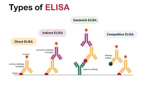 Optimizing Ligand Binding Assay Conditions For Accurate And Reproducible Results Sword Bio