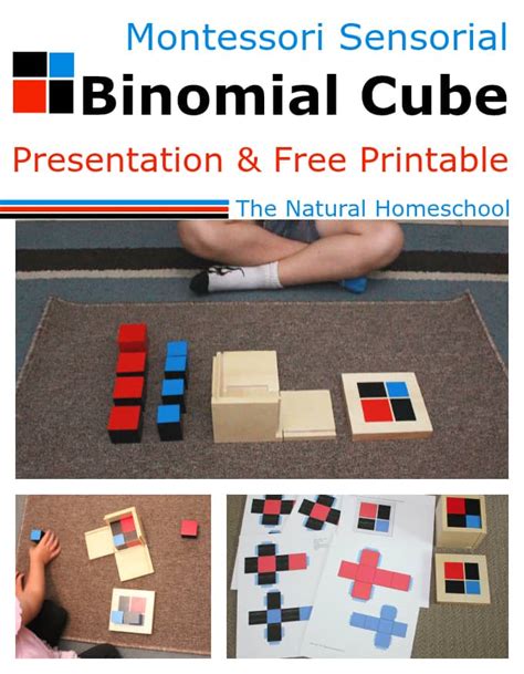 Montessori Sensorial Binomial Cube Free Printable The Natural Homeschool