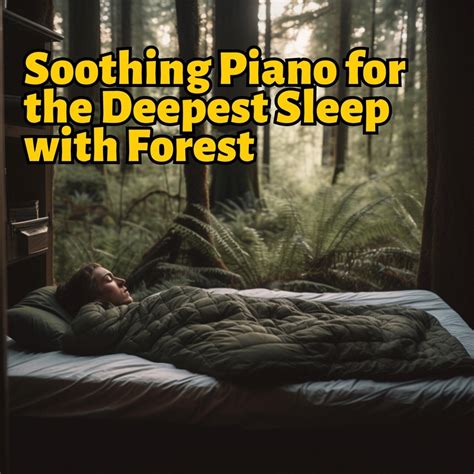 Advent With Nature Sonic Serenity Song Lyrics Music Videos And Concerts