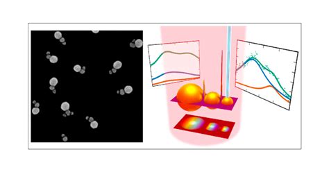 Plasmonic Nanolenses Electrostatic Self Assembly Of Hierarchical