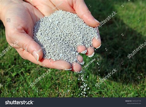 Lawn Granules Images Stock Photos Vectors Shutterstock