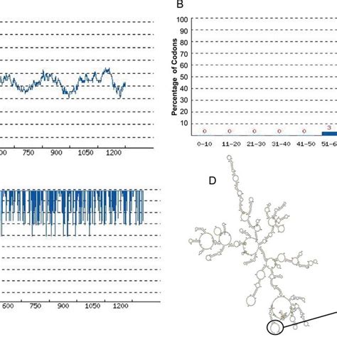 Codon Optimization And Mrna Structure Of Cov Rmen Gene For Expression