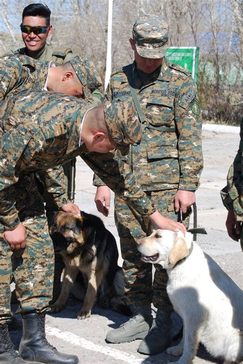 ХИЛИЙН ЦЭРГИЙН 0311 ДҮГЭЭР Хил хамгаалах байгууллага