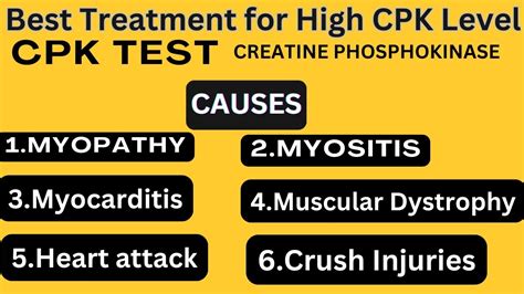 Cpk Test Creatine Phosphokinase How To Low Cpk Best Treatment