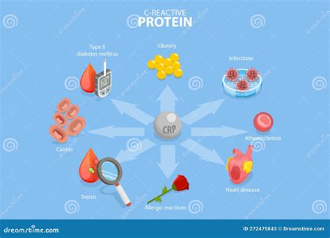 3d Isometric Flat Vector Conceptual Illustration Of C Reactive Protein Stock Vector