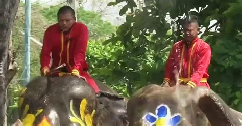 태국 물 축제 송끄란교통사고로 283명 사망