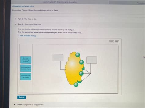 Solved MasteringAandP Digestion And Absorption Physiology Chegg
