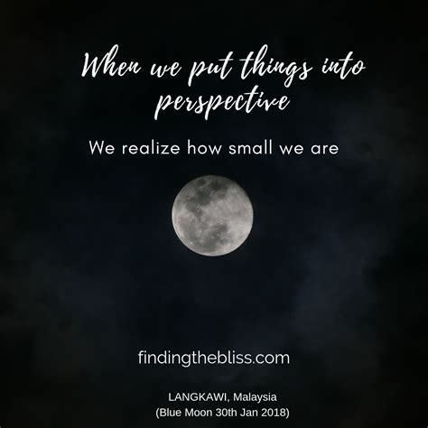 Put Things Into Perspective Finding The Bliss