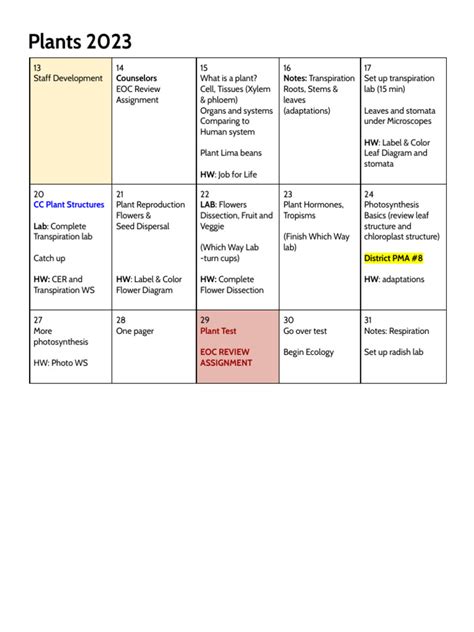 Unit 12 Plant Packet 2023 Pdf Leaf Plant Stem