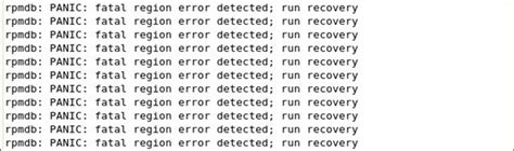 rpmdb panic fatal region error detected yum update nolabnoparty