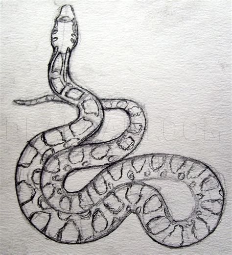 How To Draw A Realistic Snake Draw Real Snake Step By Step Drawing Guide By Finalprodigy