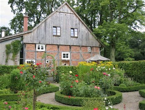 Как сделать бордюр из растений на даче и какие растения для этого подходят Ландшафтный гуру Дзен