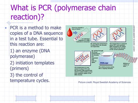 PPT Enabling Technology PCR And DNA Microarray PowerPoint Presentation ID 1131786