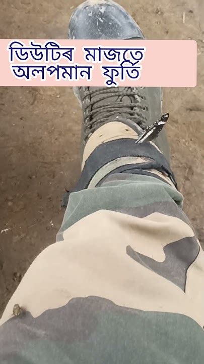 Butterfly And Duty Youtube