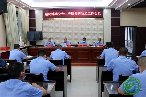榆树林场召开安全生产暨疫情防控工作会议 榆树林场 甘肃省小陇山林业保护中心官方网站