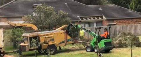 Tree Mulching Services Tree Mulching Contractors