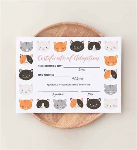 Editable Kitten Birthday Adoption Certificate Template Printable Kitty