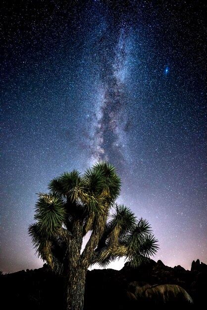 Premium Photo The Night Sky Peppered With Thousands Of Stars And The