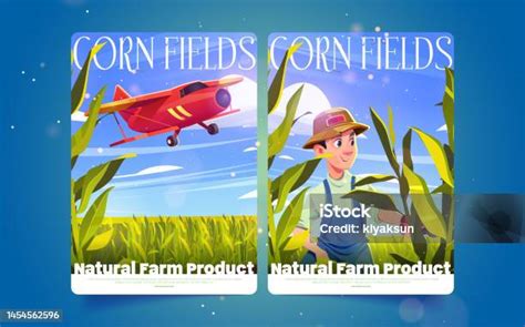 Ilustración De Carteles De Dibujos Animados De Productos Agrícolas