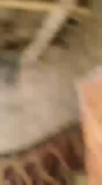 Kakek Nikah Sama Abg Pas Ngewe Gak Mau Di Rekam Eporner
