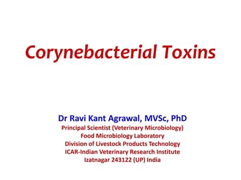 Corynebacterium Toxins Pptx