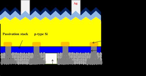 The Typical Perc Solar Cells Structure With A Passivation Layer