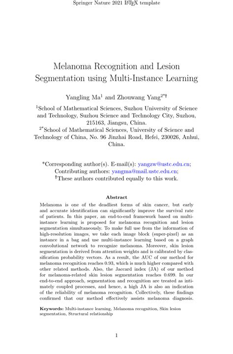 Pdf Melanoma Recognition And Lesion Segmentation Using Multi Instance Learning
