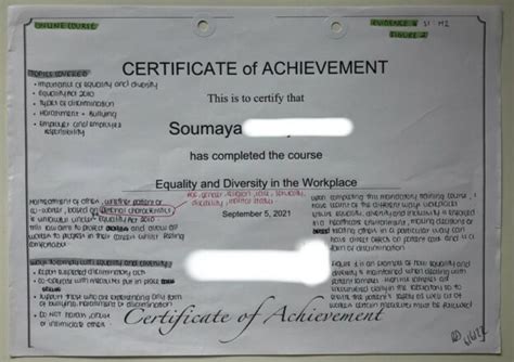 The IBMS Registration Portfolio From A Placement Babes Perspective Blood Academy