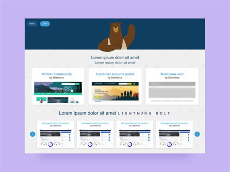 Salesforce Community Builder By Analia Luque On Dribbble
