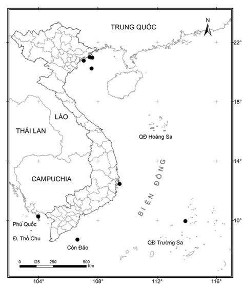 Tectus Pyramis Danh LỤc ĐỎ ViỆt Nam