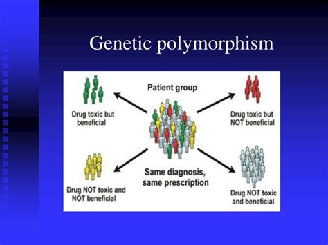 Ppt Drug Elimination Metabolism Excretion Powerpoint Presentation Id 3142854