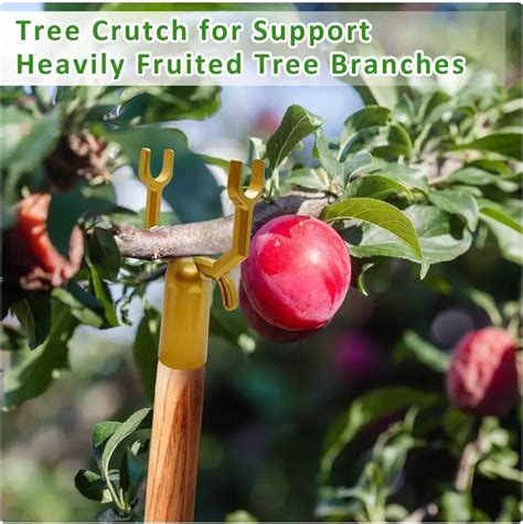 Metal Tree Branch Support Tree Brace Branch Crutch Tree Temu