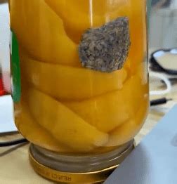 厂家回应黄桃罐头中含有石头是麦饭石可以释放矿物质和微量元素 网友 消息 视频