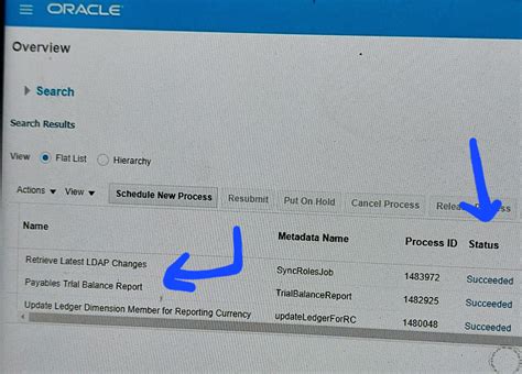 Soalicious Erp Bi Roles And Configurations