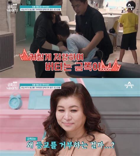 등교 거부 초3 금쪽이 선생님 위협→母 손 부상…결국 경찰 출동 스타일m