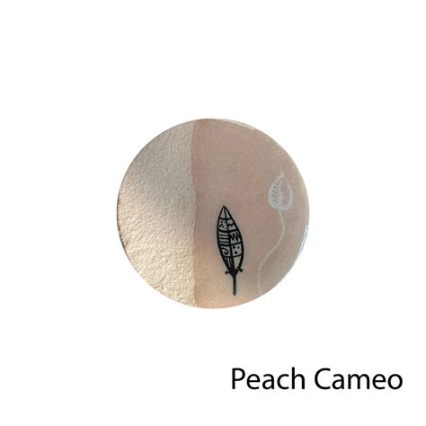 Peach Cameo Ceramica Transfers