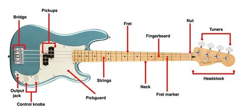 How To Choose The Best Bass Guitar Gc Riffs