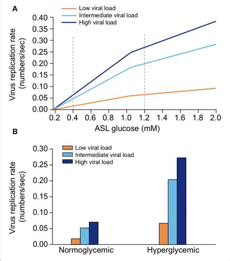 Simplified Computational Model Of Sars Cov 2 Replication Rate As A Download Scientific