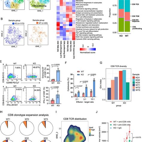 Single Cell Rna Sequencing Scrna Seq Analysis Revealed A Distinct Download Scientific Diagram