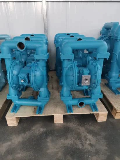 Natural Gas Operated Diaphragm Pump Atex Pump G1fb1abtvns600 And