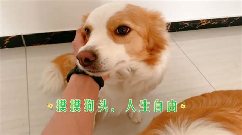 庄里今天下雨了，依旧是自律的一天 Youtube