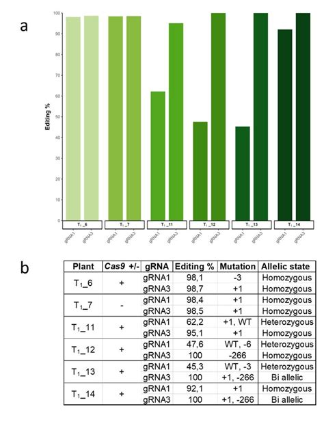 Genotyping Of Targeted Gene Mutations Induced By Crisprcas9 In