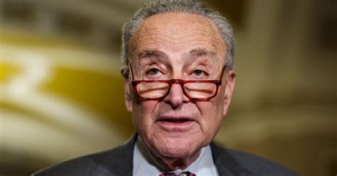 Democratic Lawmakers In Chaos 3 Weeks Into Trumps Presidency Pulling Chuck Schumer In Opposite