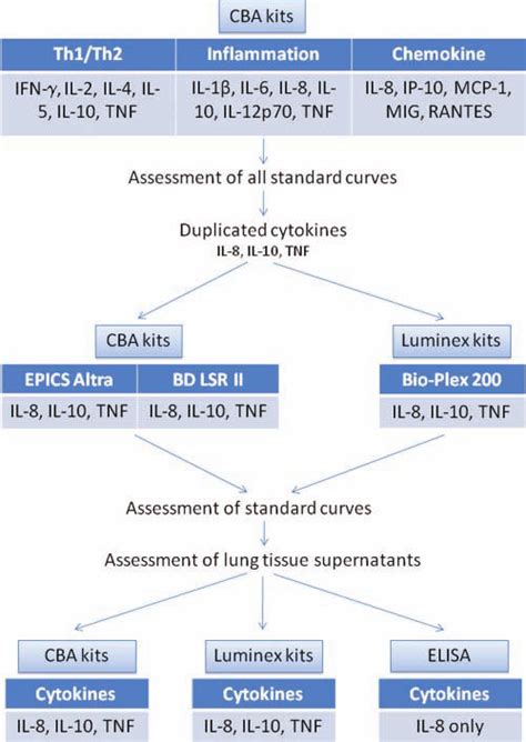The Workflow Of The Comparisons Between Multiplex Technologies Download Scientific Diagram