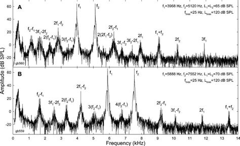 Spectral Fine Structures Of Low Frequency Modulated Distortion Product