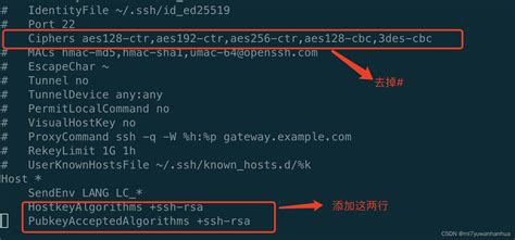 更新 Macos Ventura Ssh堡垒机报错：no Matching Host Key Type Found Their Offer Ssh Rsassh Dssmacos