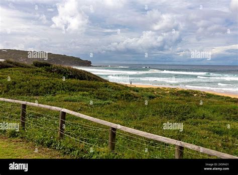 Curl Curl Beach On The East Coast Of Sydney Australia With Grass Verge